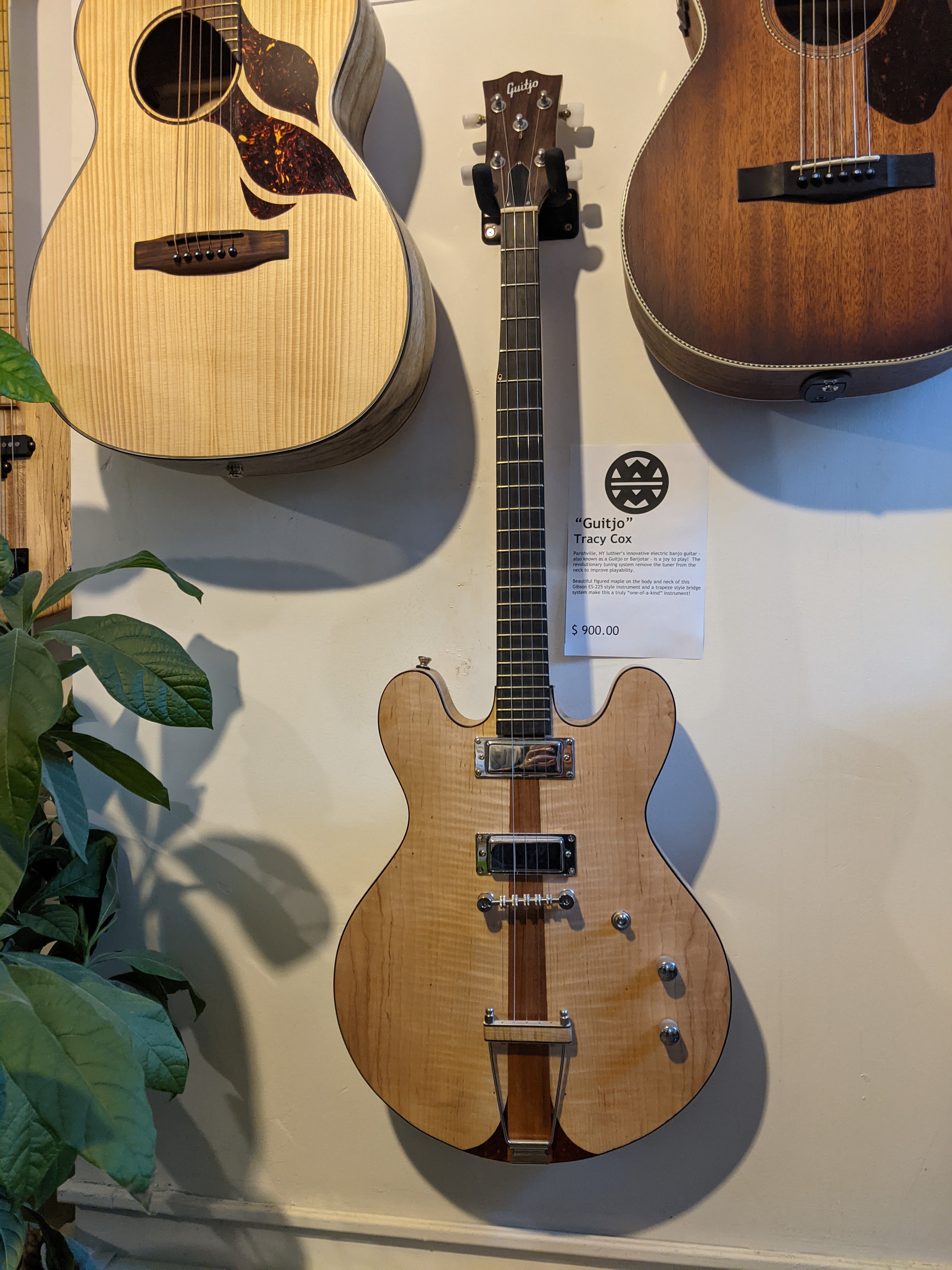 Windward Music & Guitars: repair, sales, & custom builds